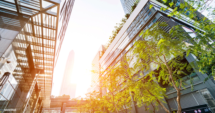 IASB, ISSB plan to work jointly on reporting framework’s future - FM